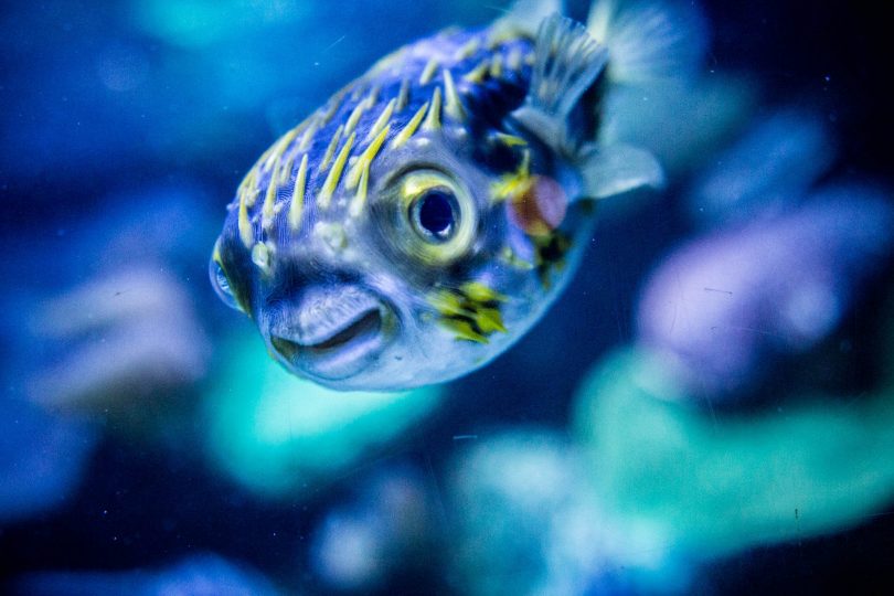 25 Tempat Wisata Terkenal di Perth Australia • Wisata Muda