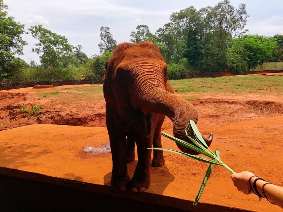 17 Tempat Wisata Terkenal di Hainan China • Wisata Muda