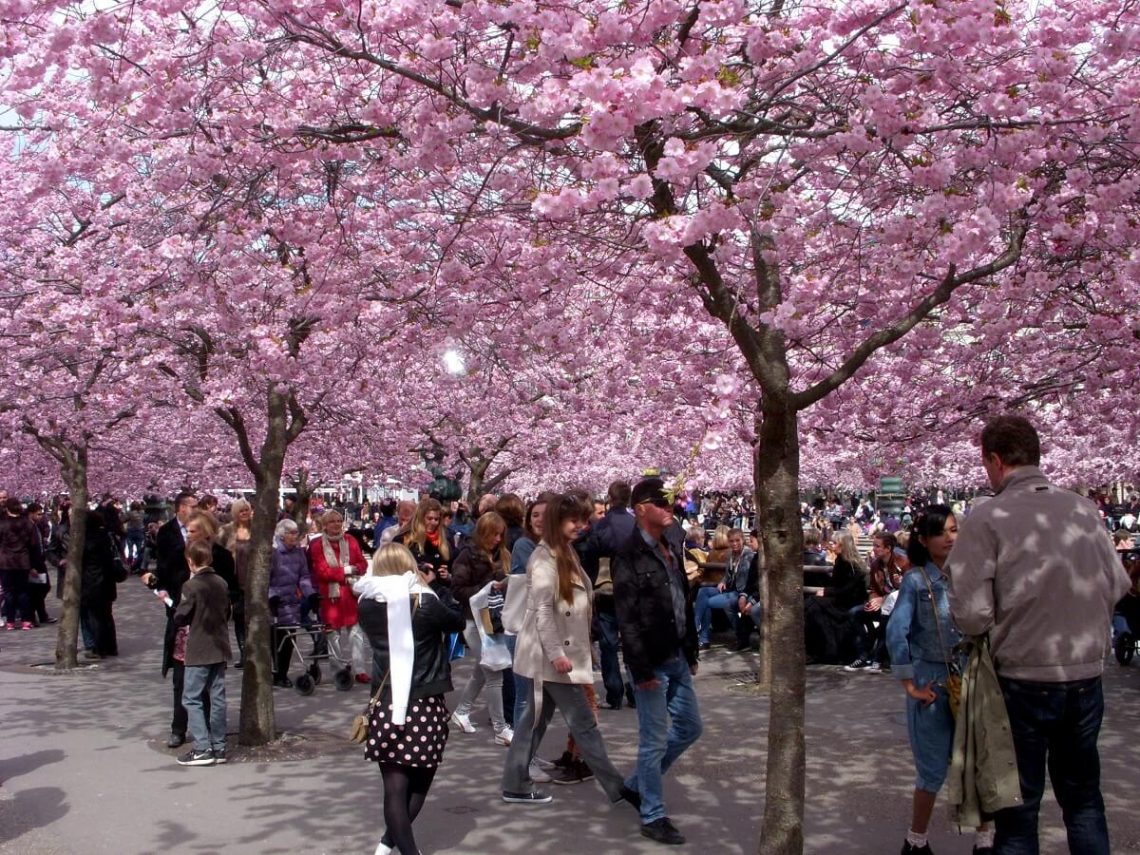 25 Tempat Wisata Terkenal di Swedia Terbaru • Wisata Muda